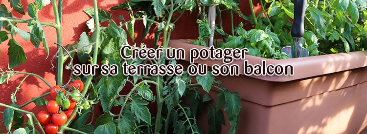 Comment créer un potager sur son balcon ou sa terrasse